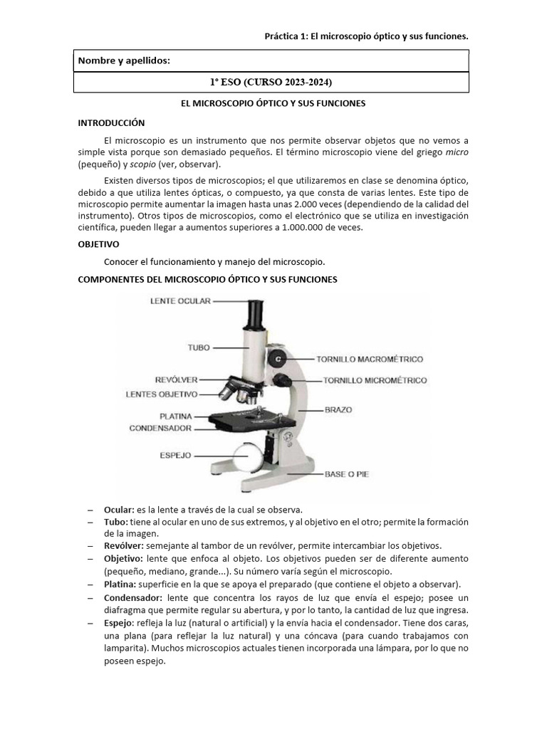 Práctica 1. El Microscópio Óptico y Ejercicios | PDF | Óptica | Microscopio