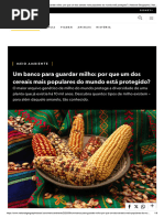 Vombate: Cocô em Forma de Cubo | PDF