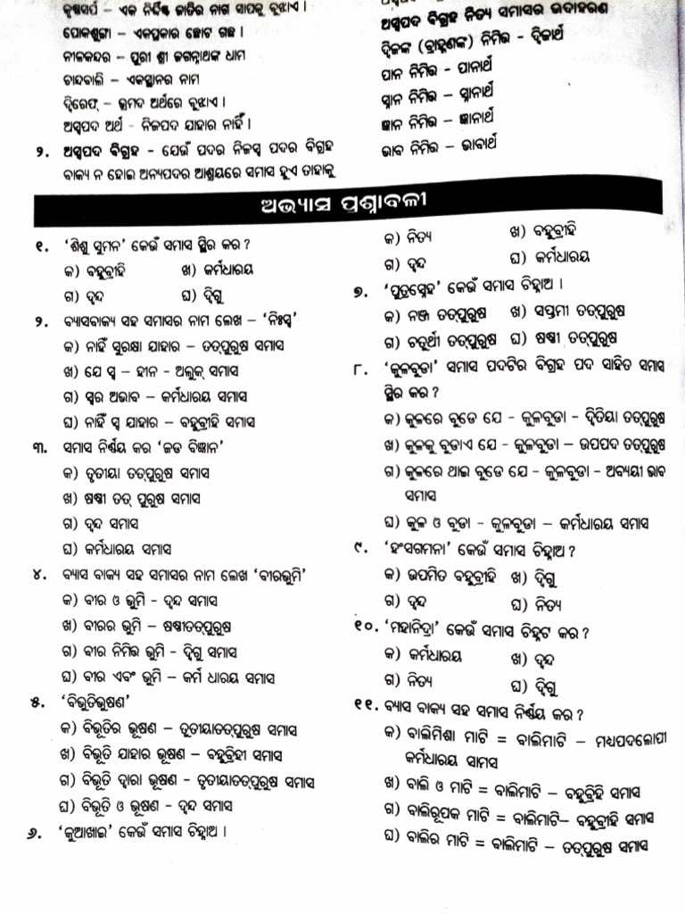 Samasa Odia Grammar Overview | PDF