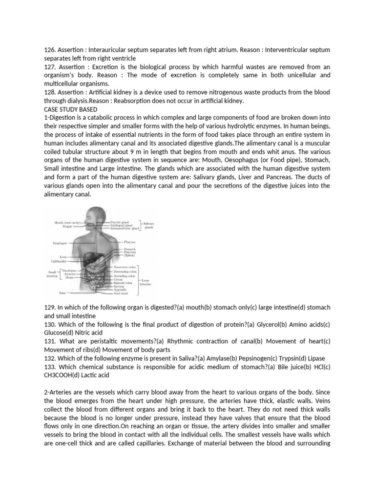 Life Process Worksheet - 4 | PDF | Digestion | Pancreas