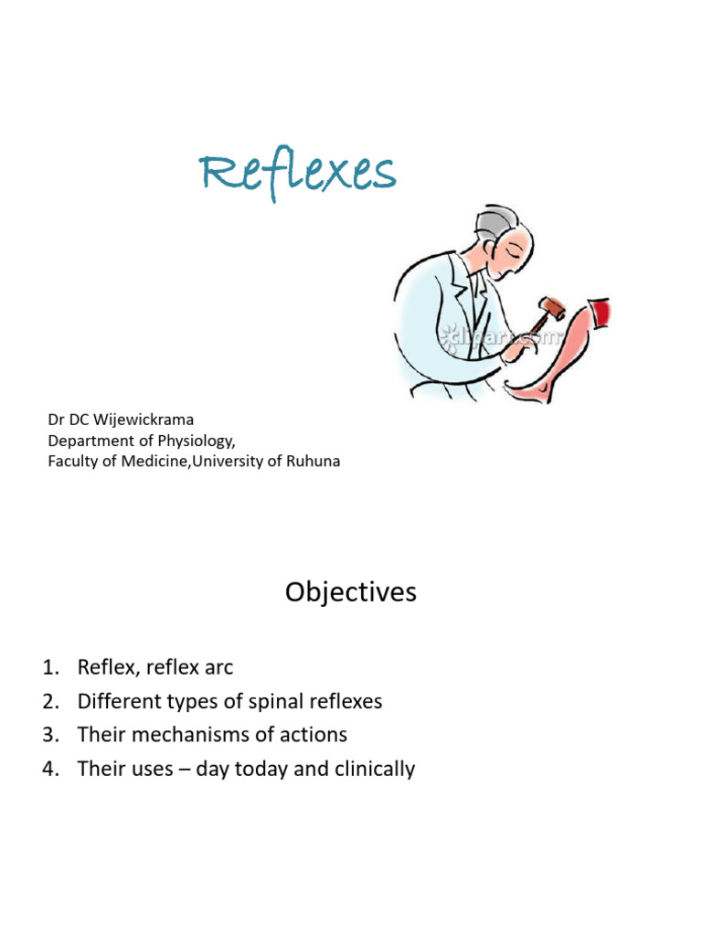 Reflexes For 46 Students | PDF | Skeletal Muscle | Physiology