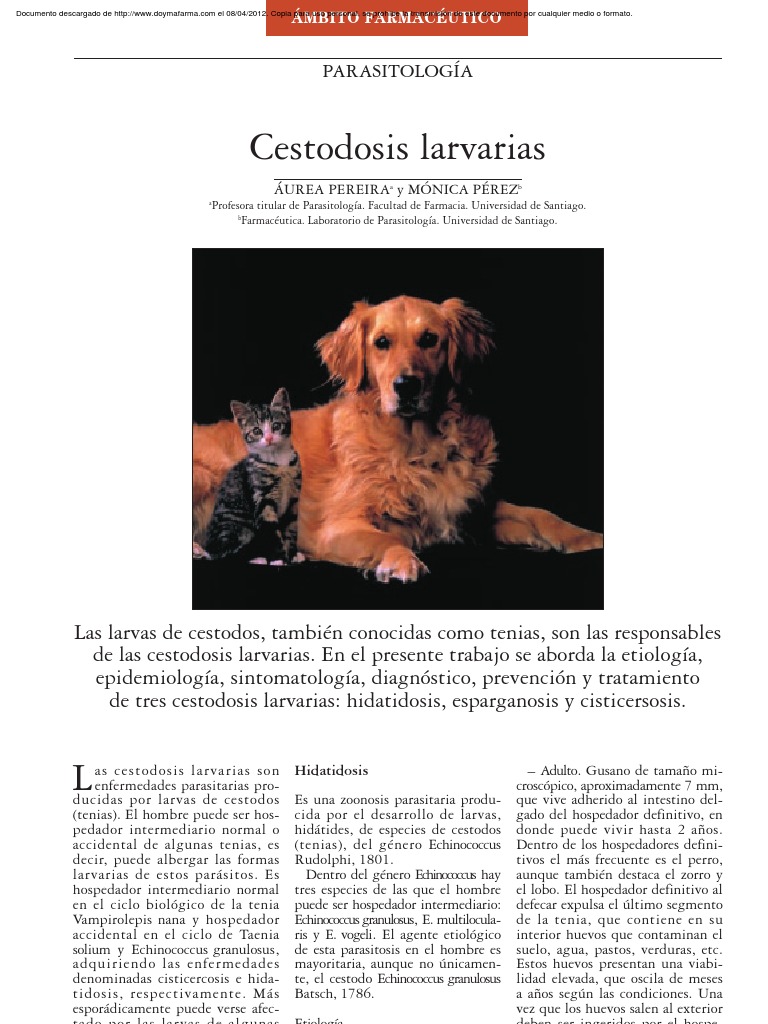 Cestodos Pdf Parásitos Parasitología