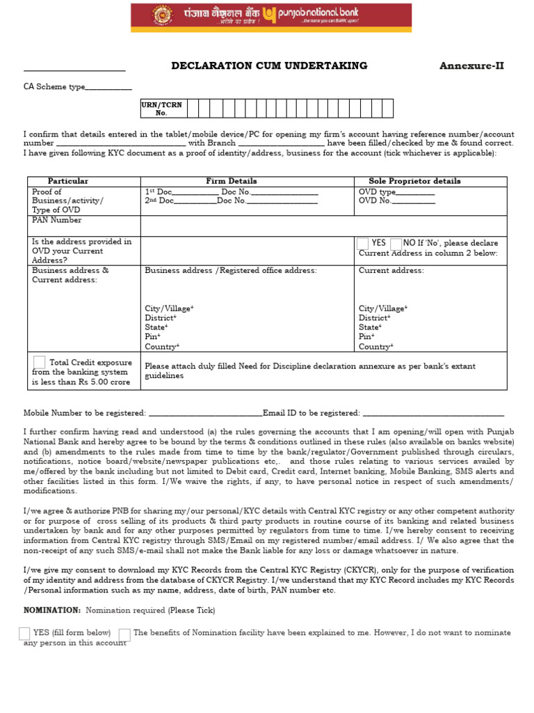 Filling PNB Annexure II Form Guide | PDF | Banks