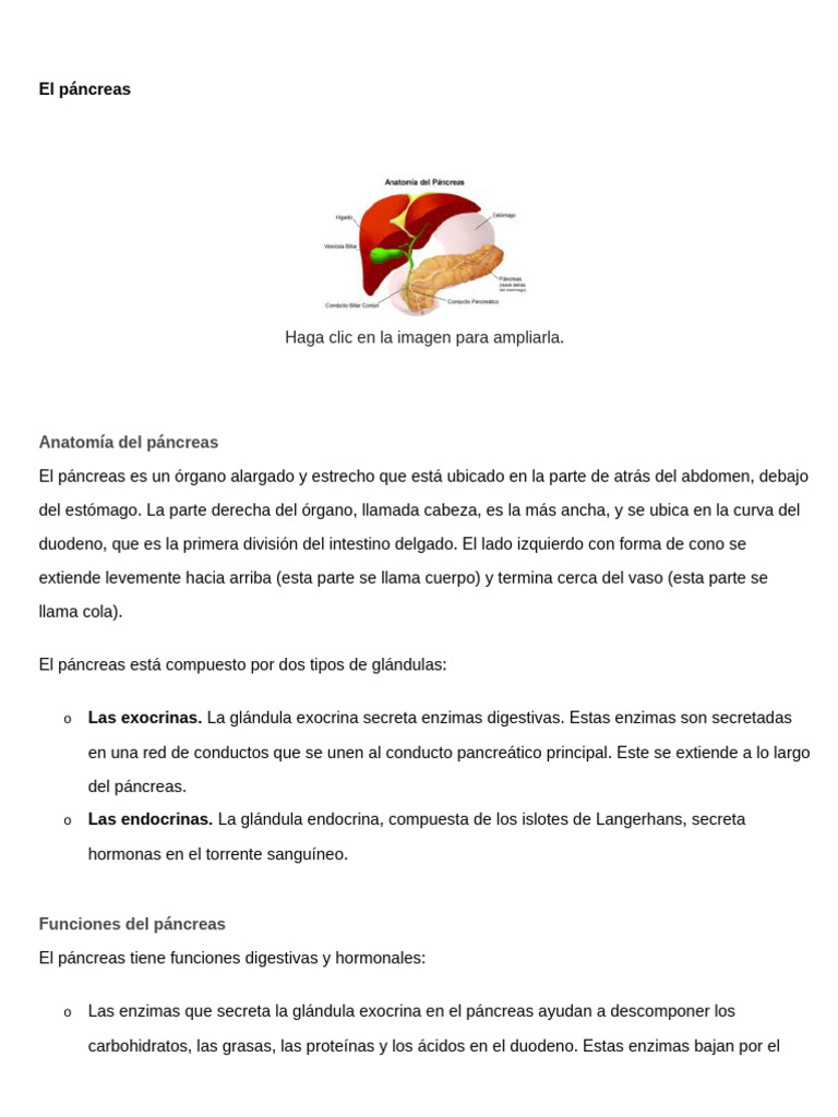 Anatomía y funciones del páncreas | PDF | Páncreas | Digestión