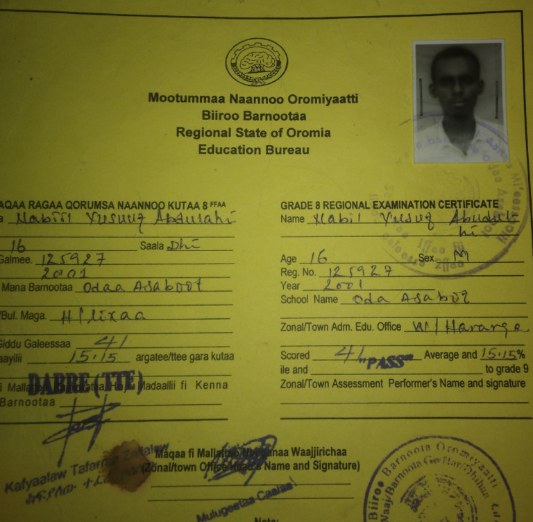 G 8 Certificate | PDF