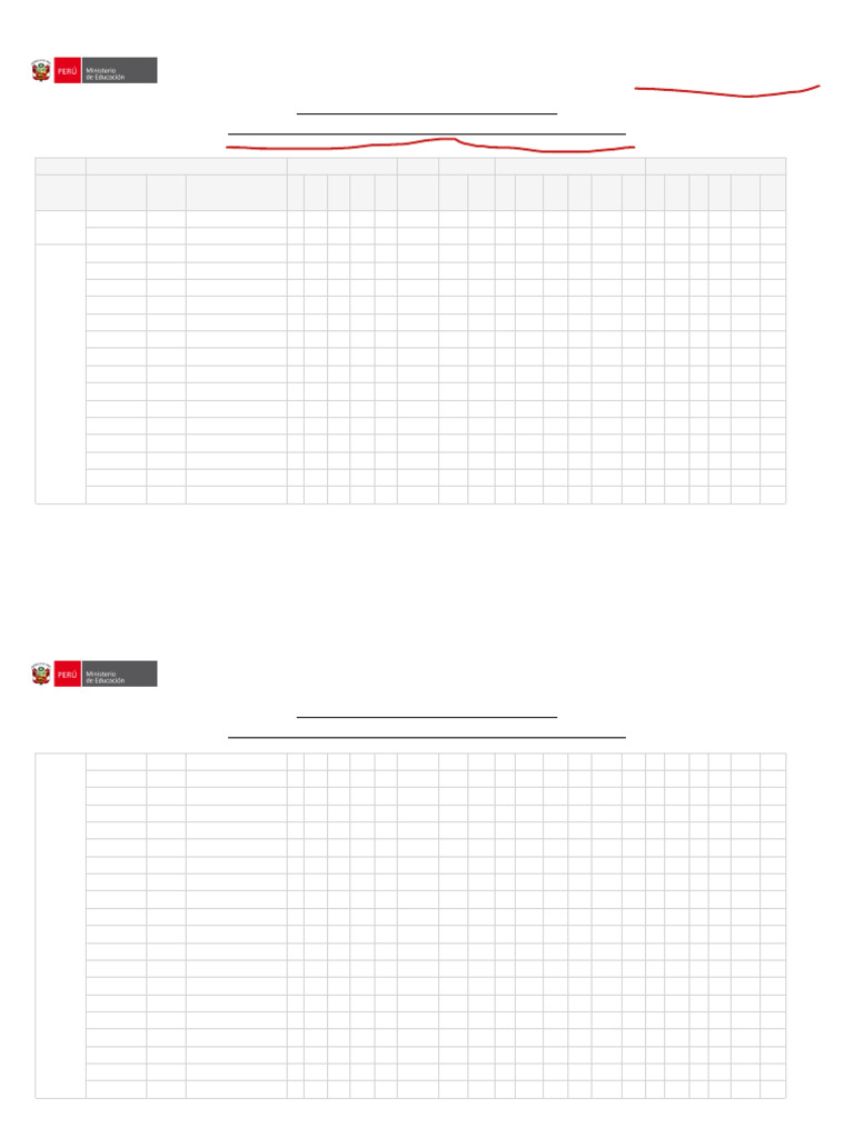 Reporte Evaluacion Por Ssee Racio-2025 | PDF | Educación de la primera ...