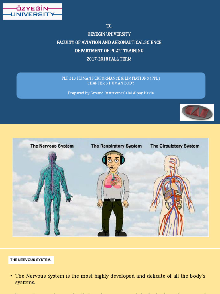 Chapter 3 Human Body | PDF