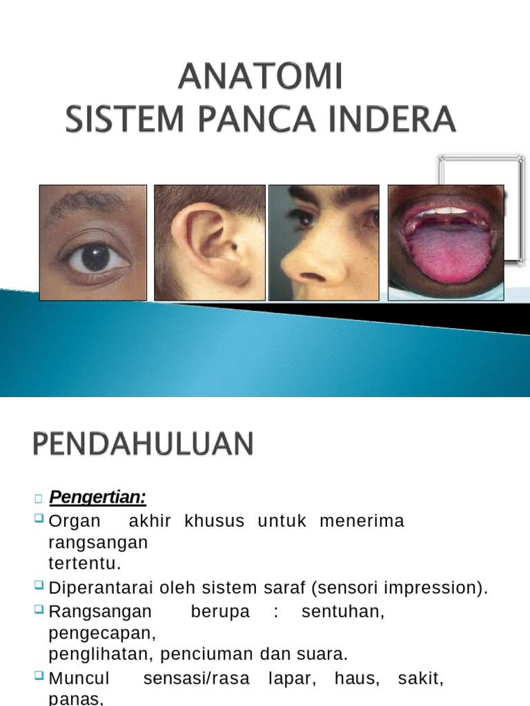 Anfis Panca Indra | PDF