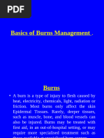 Wallace Rule of Nines for Burn Assessment | PDF | Burn | Intravenous ...
