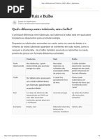 Definição e Exemplos de Aresta | PDF | Vértice (Geometria) | Geometria ...