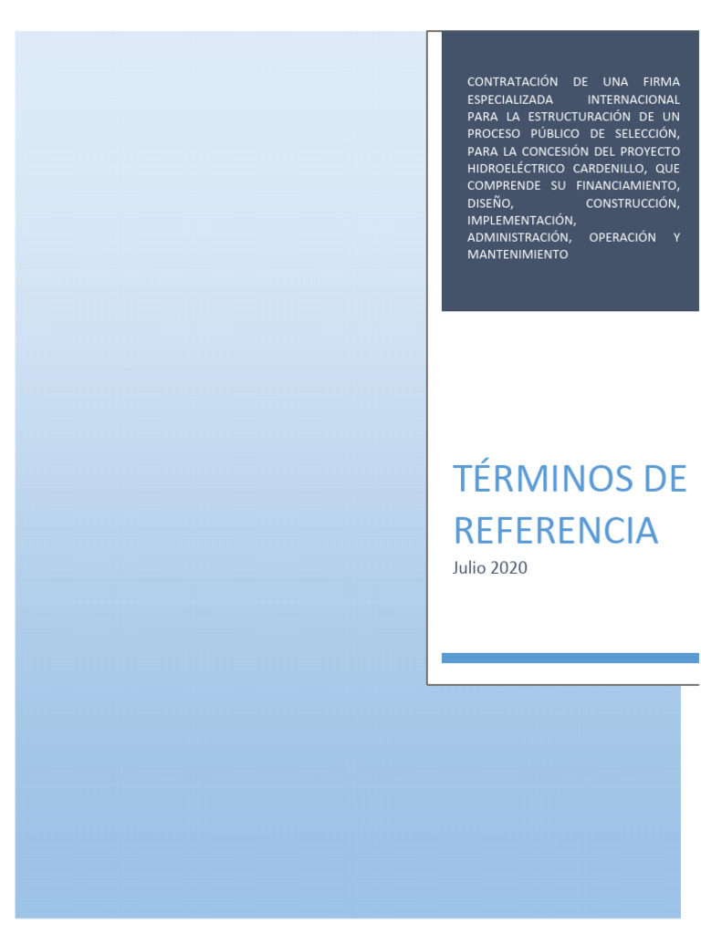 TDR Version Final | PDF | Infraestructura | Asociación público-privada