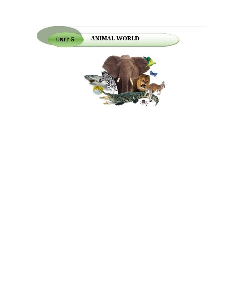 Course 1 Unit 5 - Animal World Student's Handout | PDF | Zoology