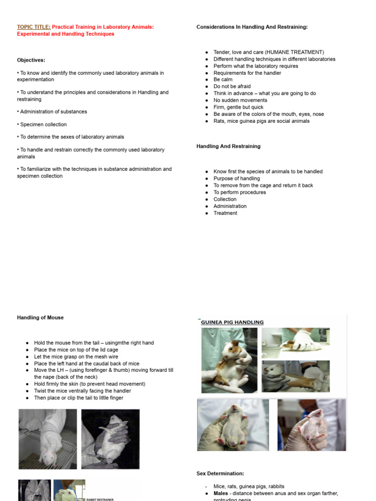 Laboratory Animal Handling Techniques | PDF | Mouse | Animal Testing