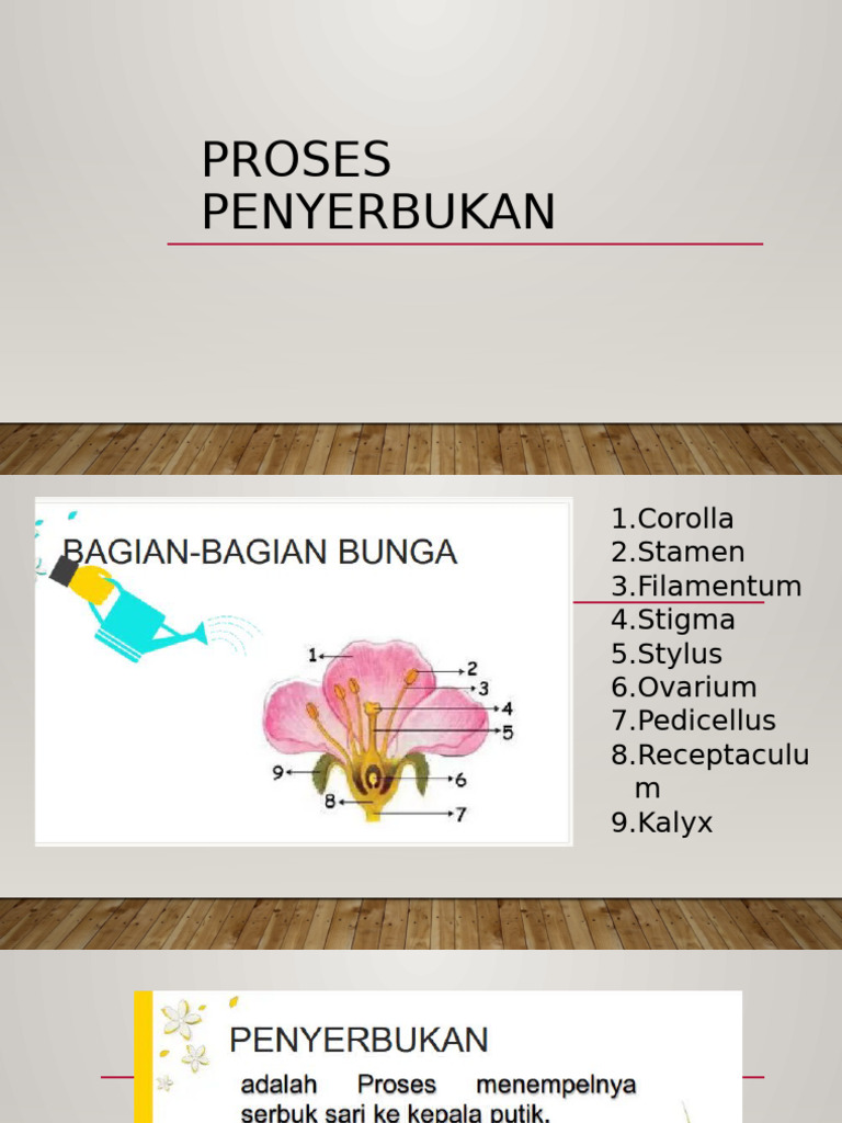 Proses Penyerbukan | PDF