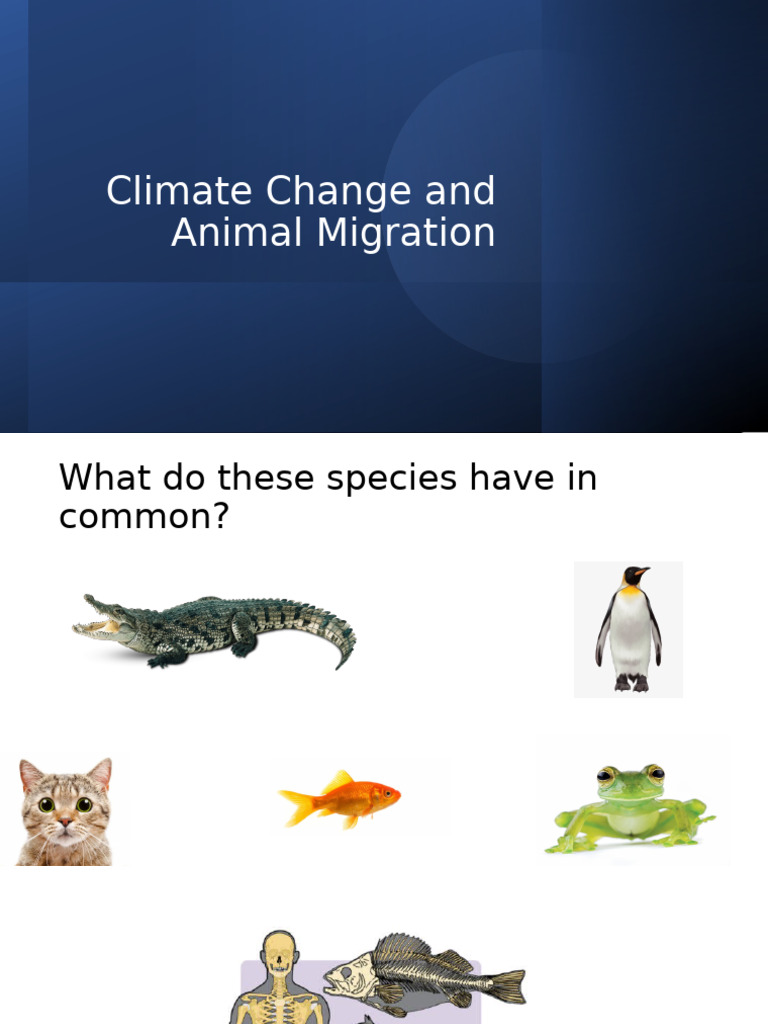 Climate Change and Animal Migration | PDF