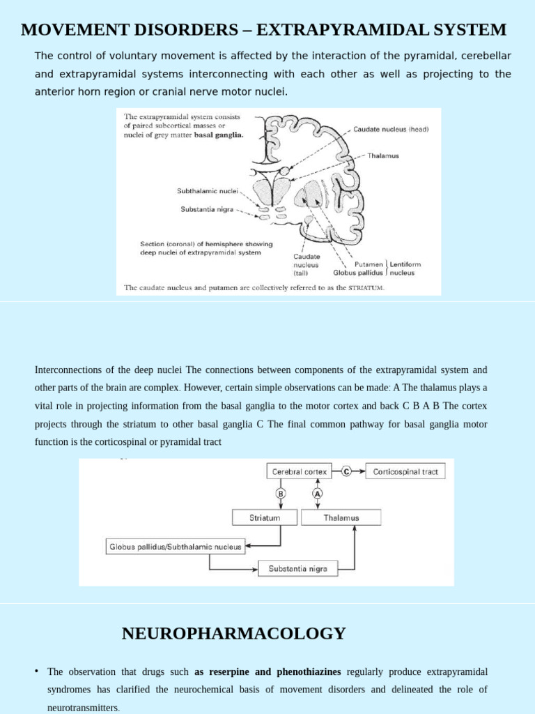Extrapyramidal Movement Disorders Overview | PDF | Basal Ganglia ...