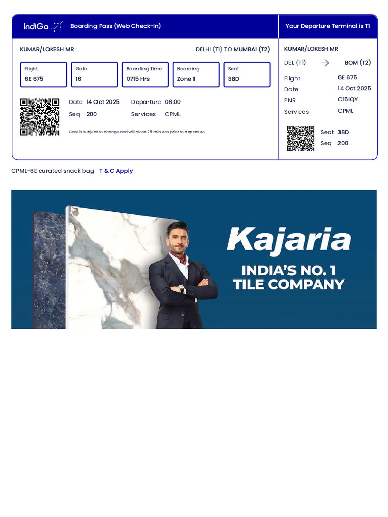 Flight 6E 675 Itinerary Details | PDF