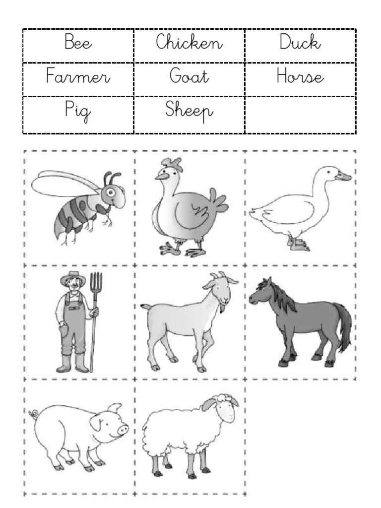 Picture Dictionary 2° Básico - Unit 3 | PDF