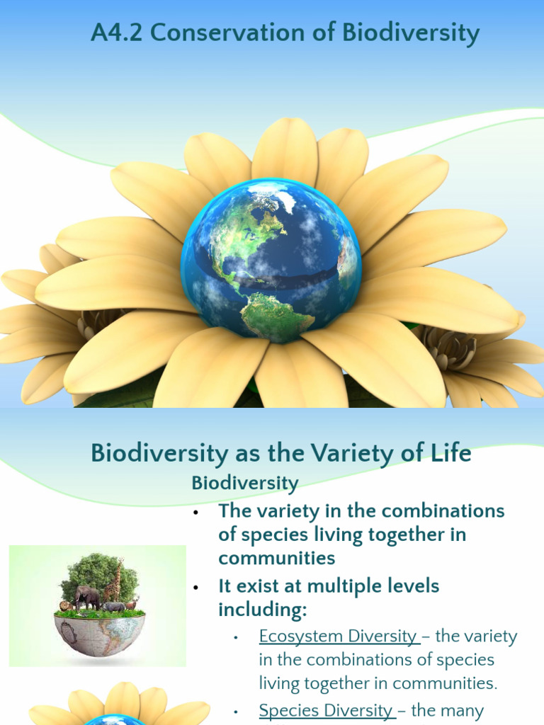 A+4 2+Conservation+of+Biodiversity+Students | PDF | Biodiversity ...