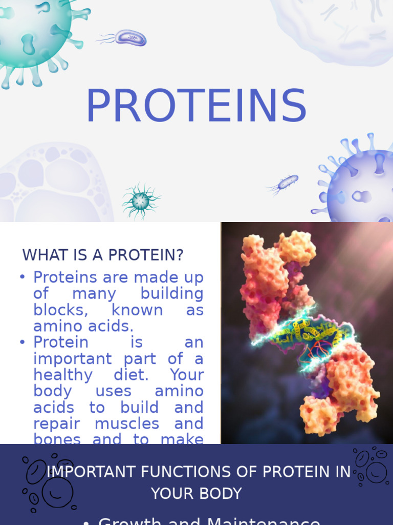 Proteins-Group-4 20240502 230534 0000 | PDF | Translation (Biology) | Protein Structure