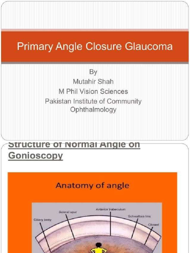 Anatomy of Angle Structures | PDF