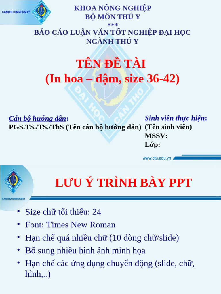 BC LVDH Ty-2020 | PDF