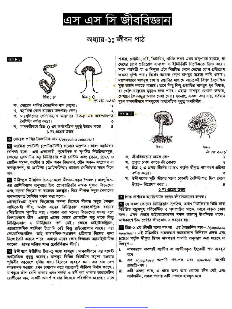 SSC Biology Chapter 1 Overview | PDF
