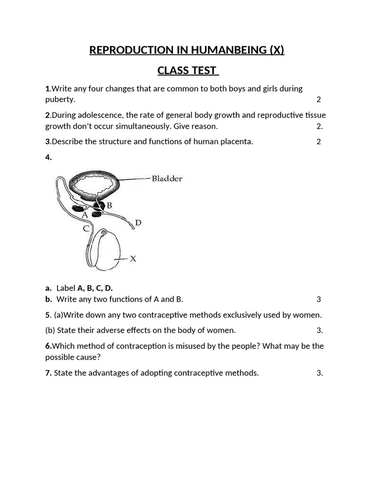 Class Test (Reproductionin Humanbeing) | PDF