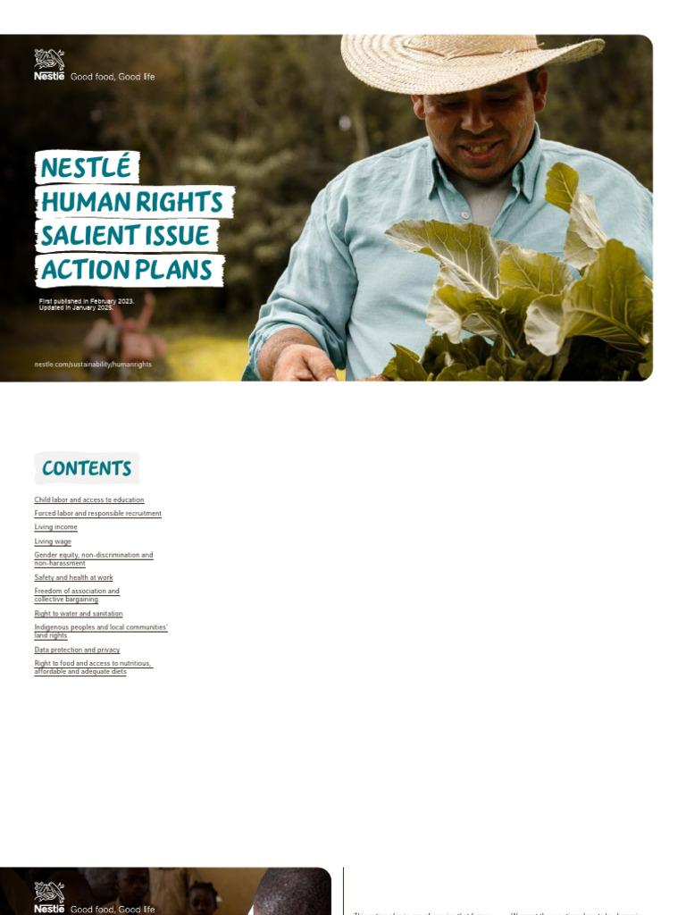 Nestlé Human Rights Salient Issue Action Plans: First Published in February 2023. Updated in ...