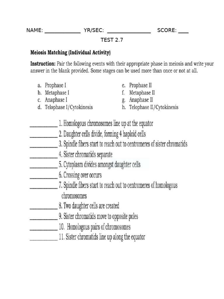 Meiosis Test | PDF