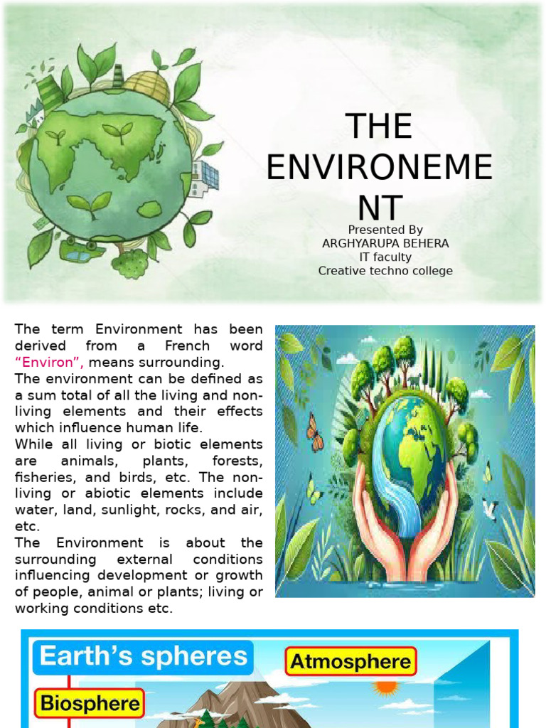 Understanding Ecosystems and Environment | PDF | Ecosystem | Grassland