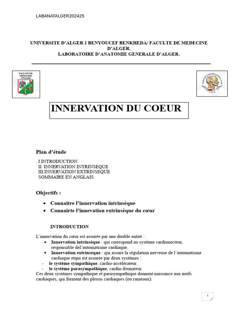 Innervation du cœur : aspects clés | PDF | Anatomie | Thorax
