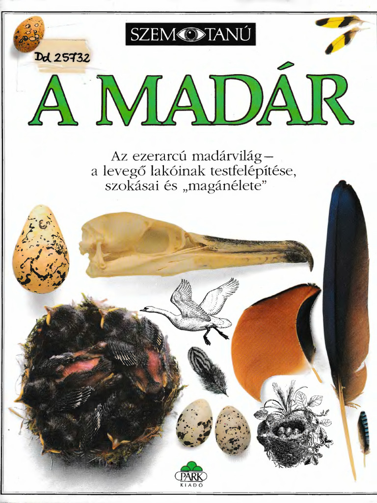 Szemtanú 11 Burnie David A Madár | PDF