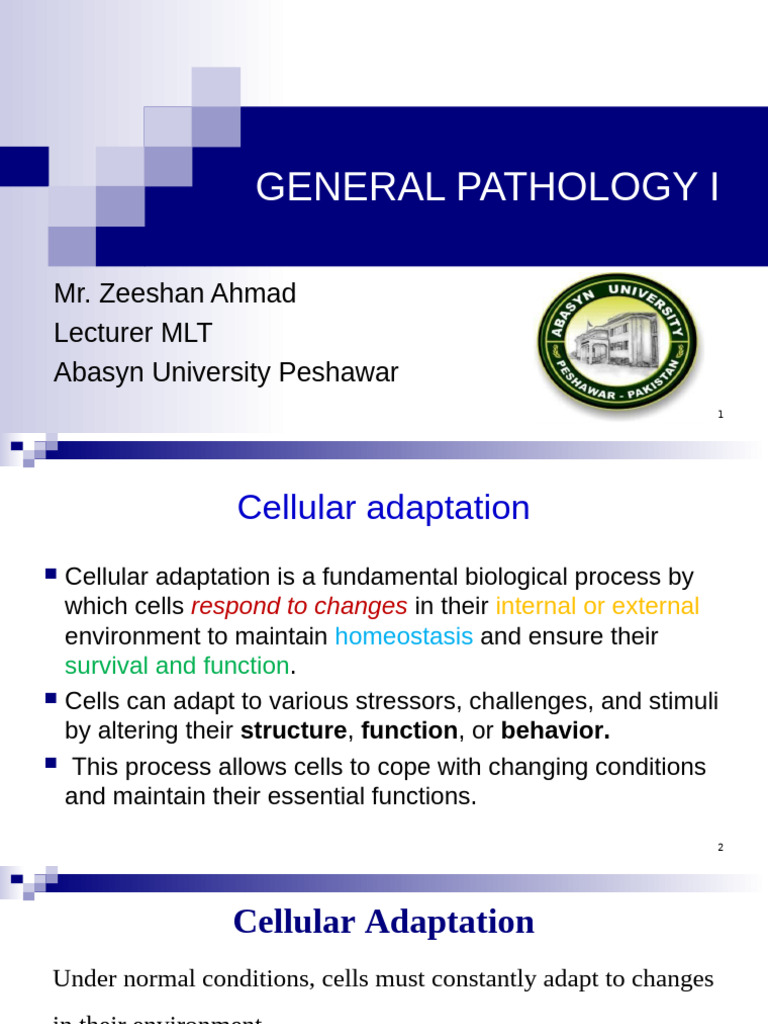 Understanding Cellular Adaptation Types | PDF | Anatomy | Biology