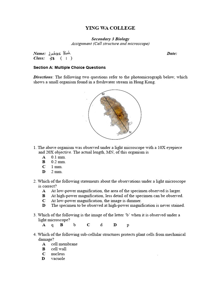 Corrected - (3B) Homework Chapter 2 | PDF | Cell (Biology) | Life Sciences