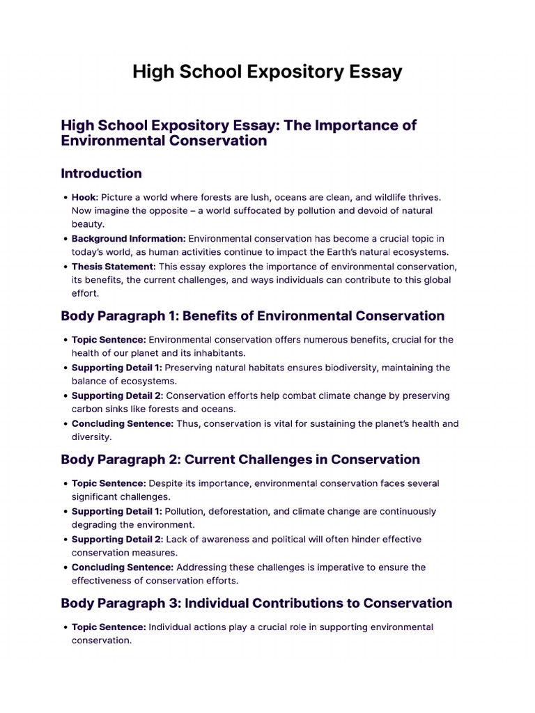 High School Expository Essay | PDF