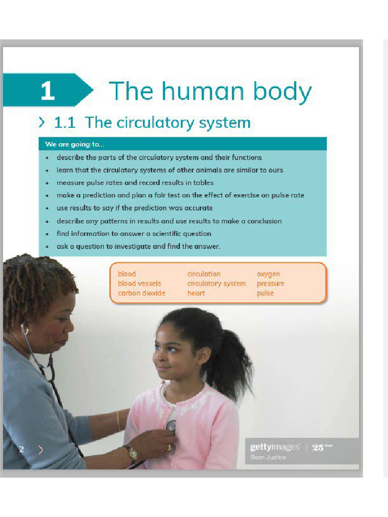 Cambridge Primary Science Stage Six Unit One | PDF