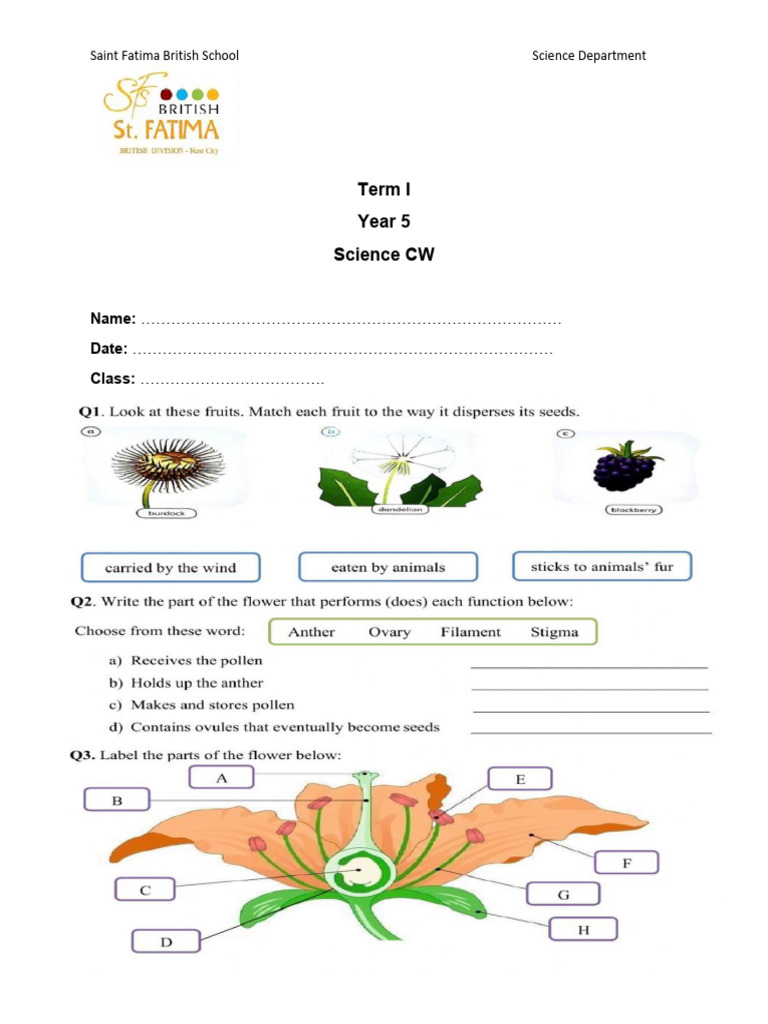 Week 5 Classwork Sheet J8VrM | PDF