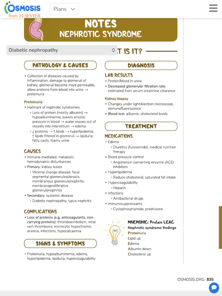 Nephrotic Syndrome Notes Diagrams & Illustrations Osmosis | PDF