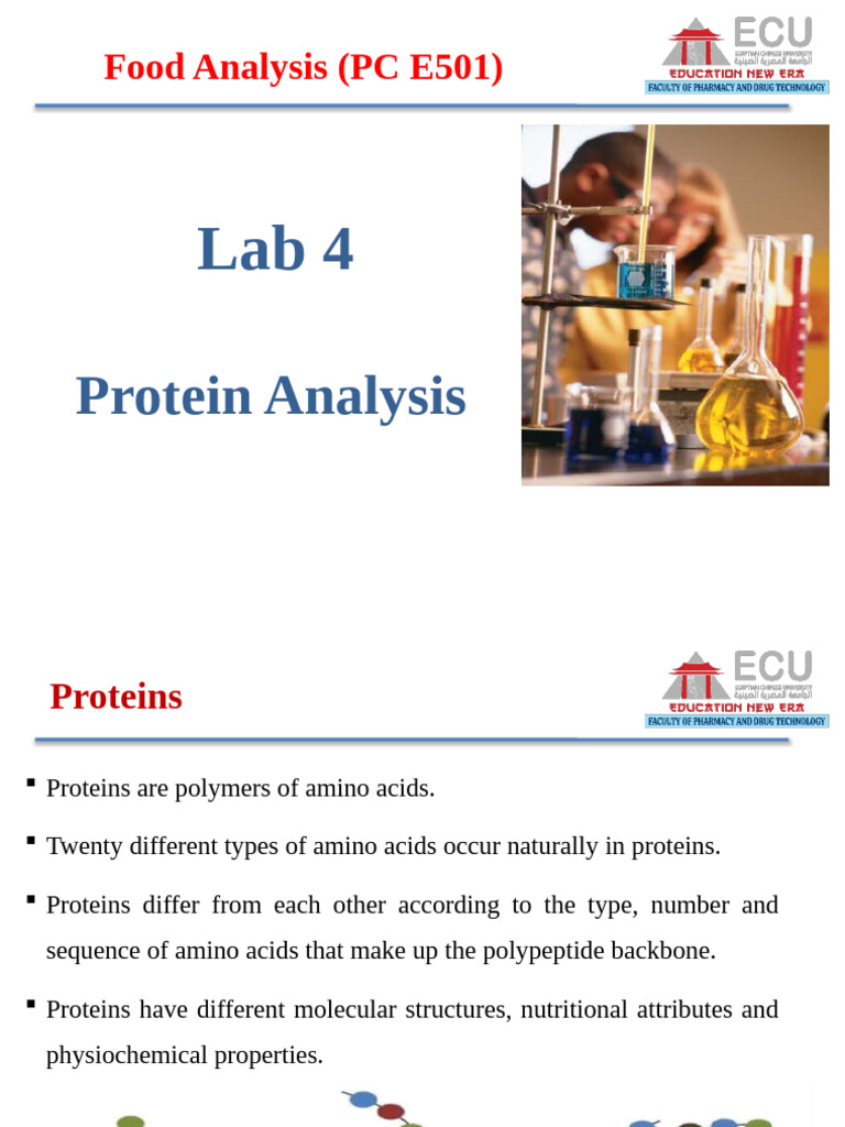 Lab 4 - Protien Analysis | PDF | Proteins | Amino Acid