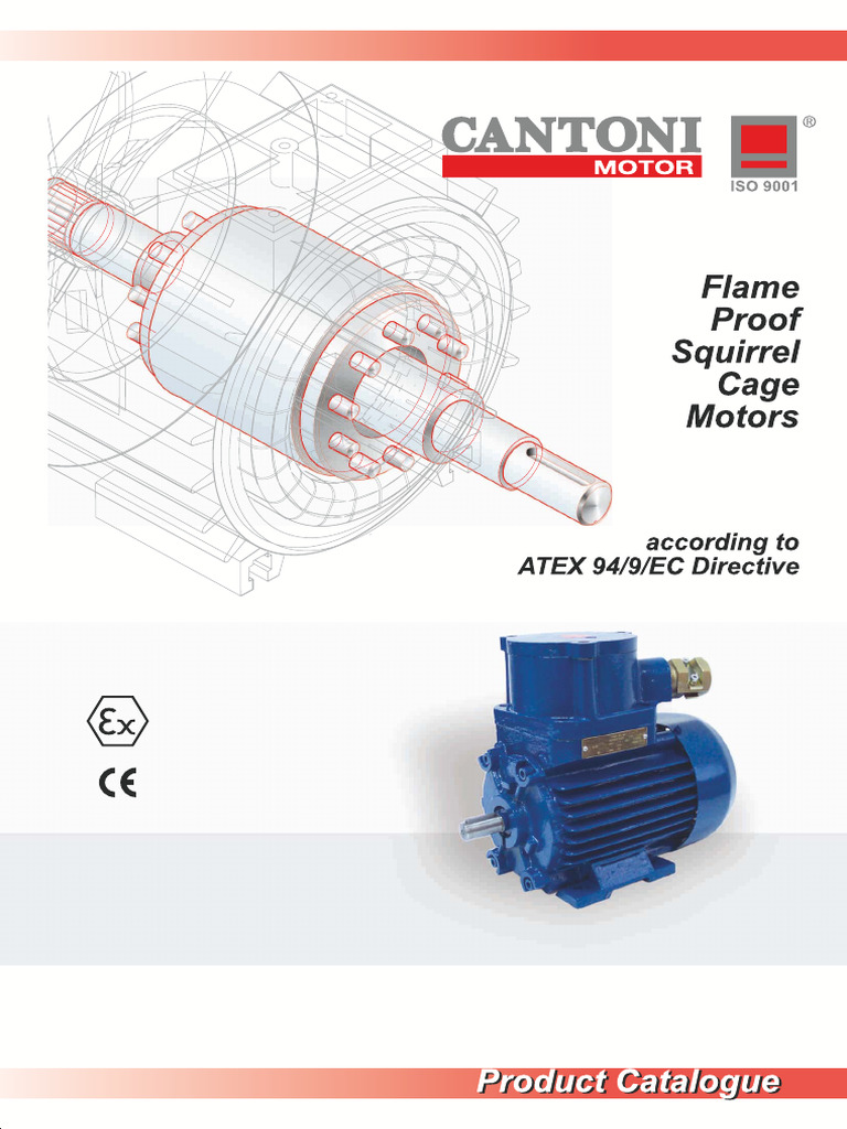10 CANTONI Three Phase Flame Proof Squirrel Cage Motors For Mining DSG ...