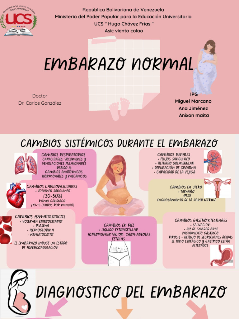 Parto Embarazo Normal | PDF