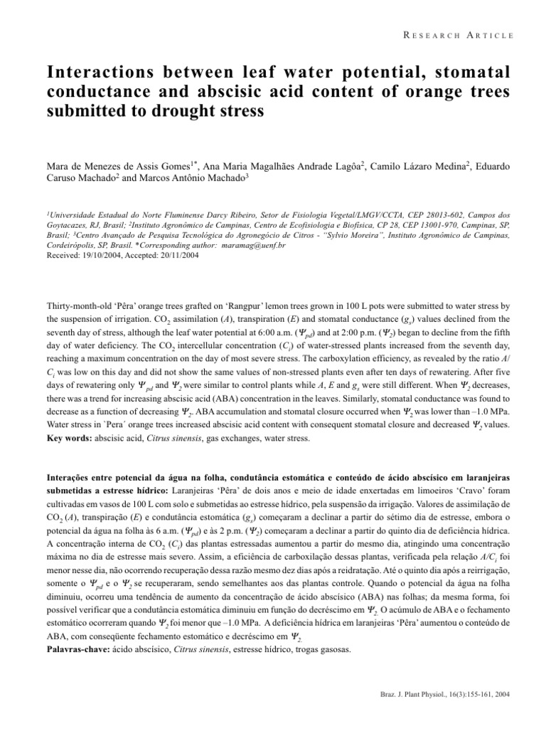 gomes.p70 | PDF | Root | Stoma