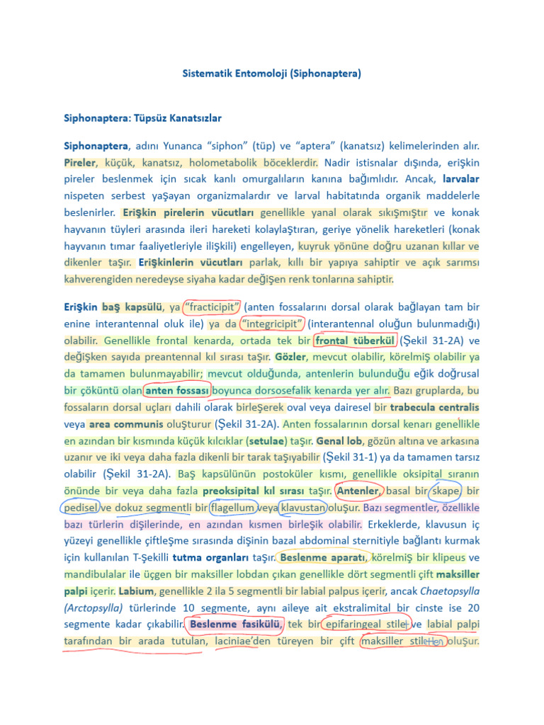 22 - Siphonaptera | PDF