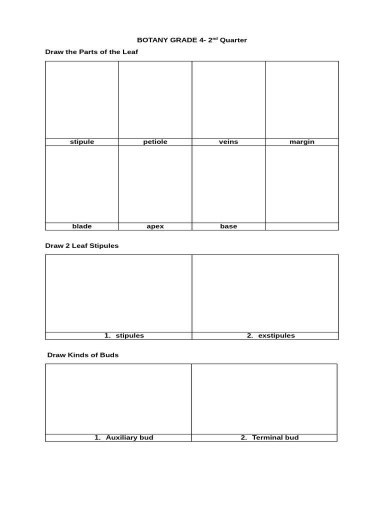 Botany Grade 4 | PDF
