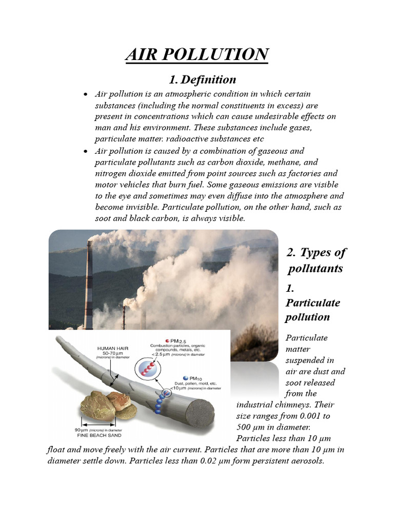 Understanding Air Pollution Sources & Effects | PDF | Air Pollution ...