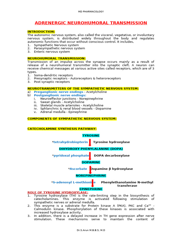 Adrenergic Neurohumoral Transmission | PDF | Norepinephrine | Dopamine