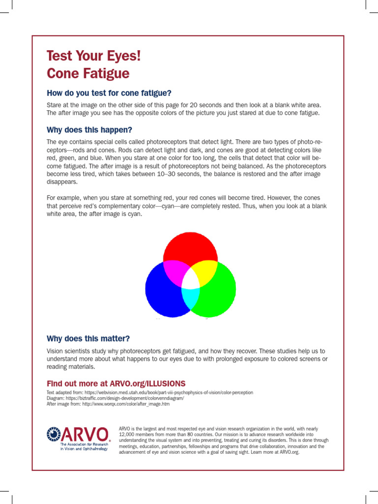 Understanding Cone Cell Fatigue | PDF