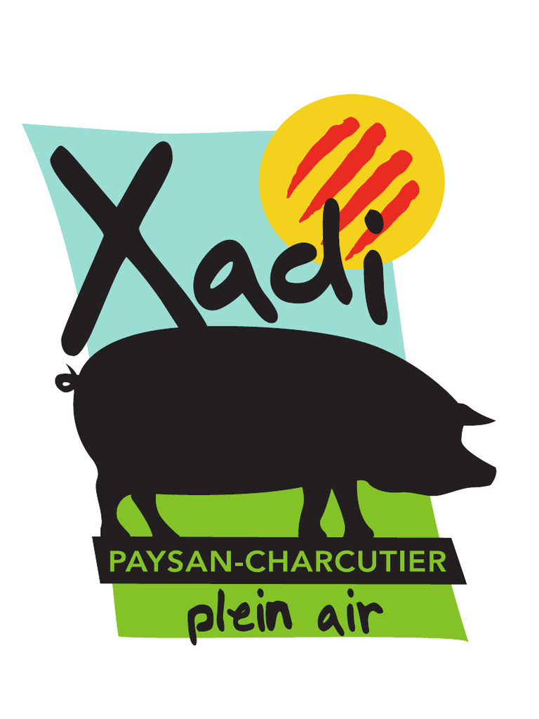 Logo Xadi | PDF