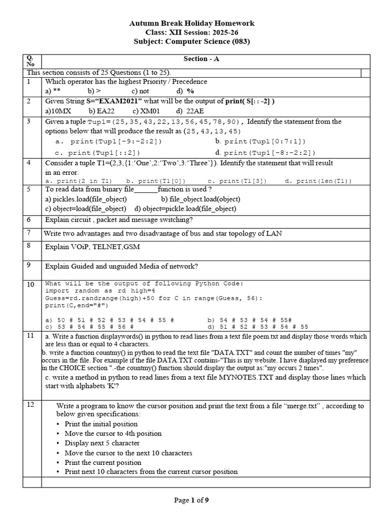 Holiday Homework Class Xii | PDF | Computer File | Text File